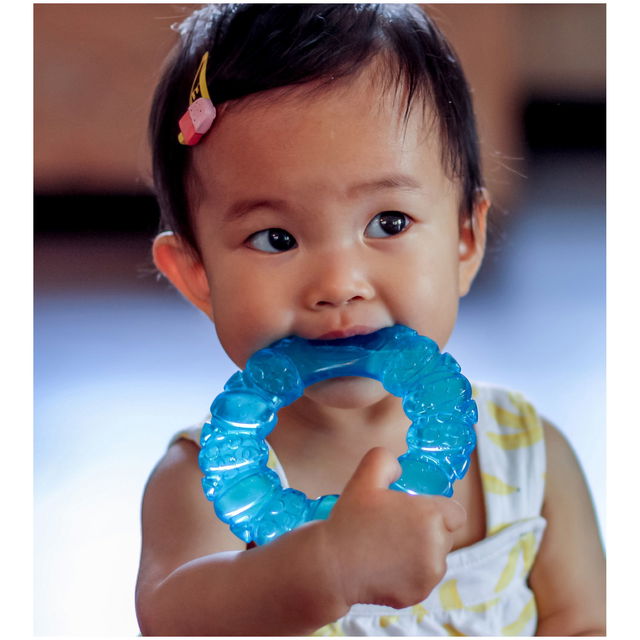 Playgro Beissring Soothing Circle kühlbar ab 3 Monate kaufen